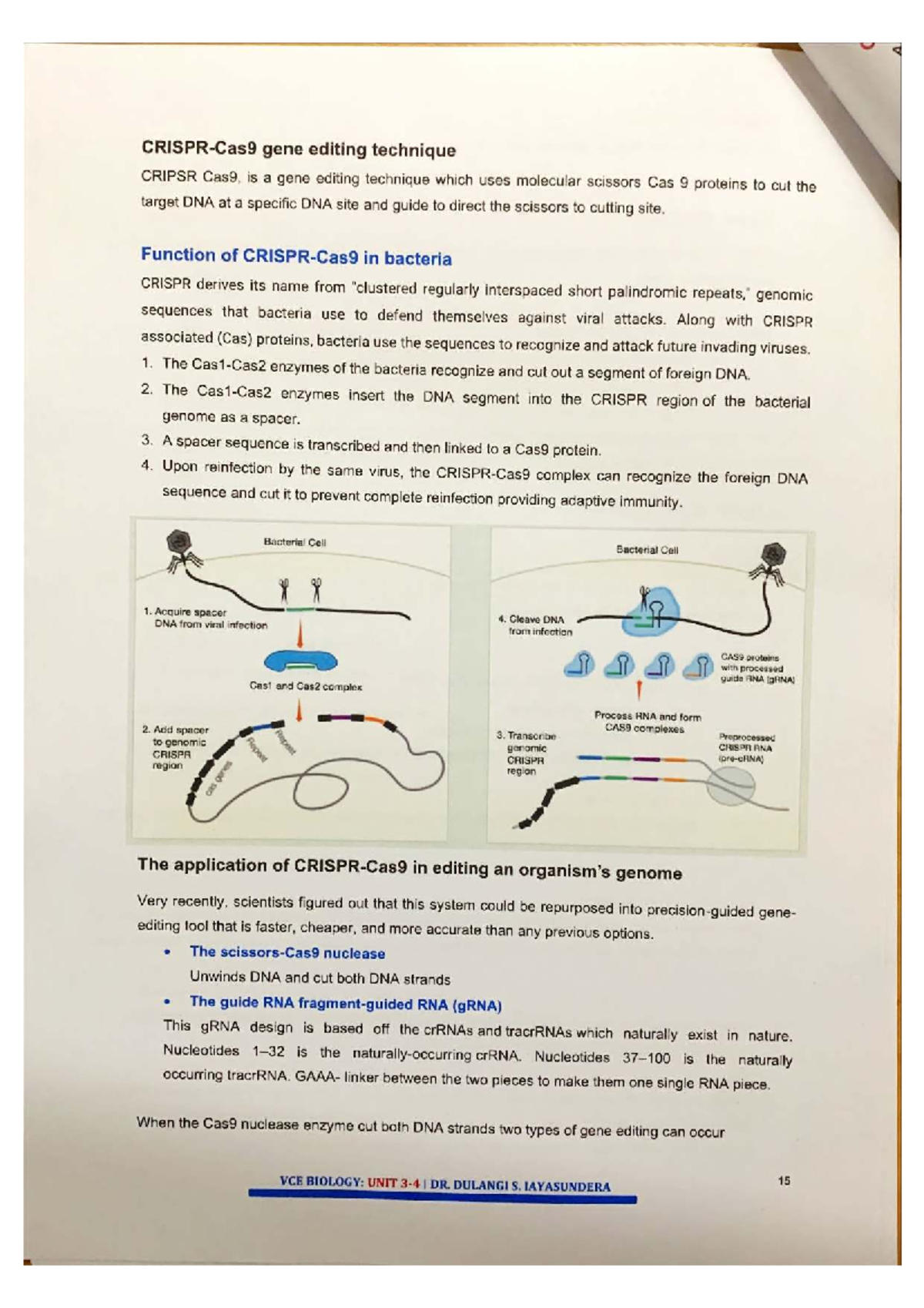 Crispr Notes: Understanding the CRISPR-Cas9 Gene Editing Technique ...