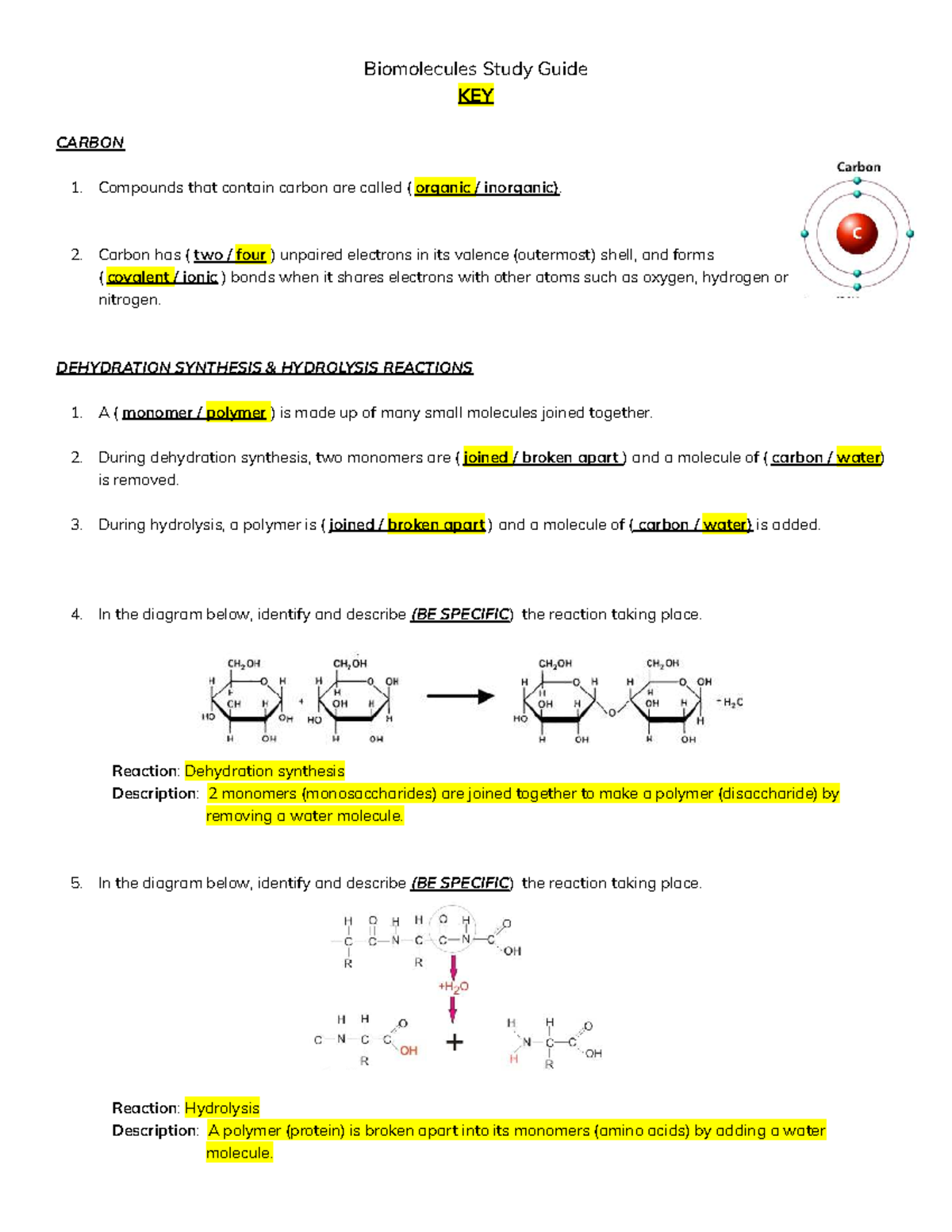 KEY Honors Biology Biomolecules Study Guide: Carbon Compounds ...