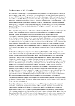 25 mark essay The importance of shapes in biology - Evaluate the ...