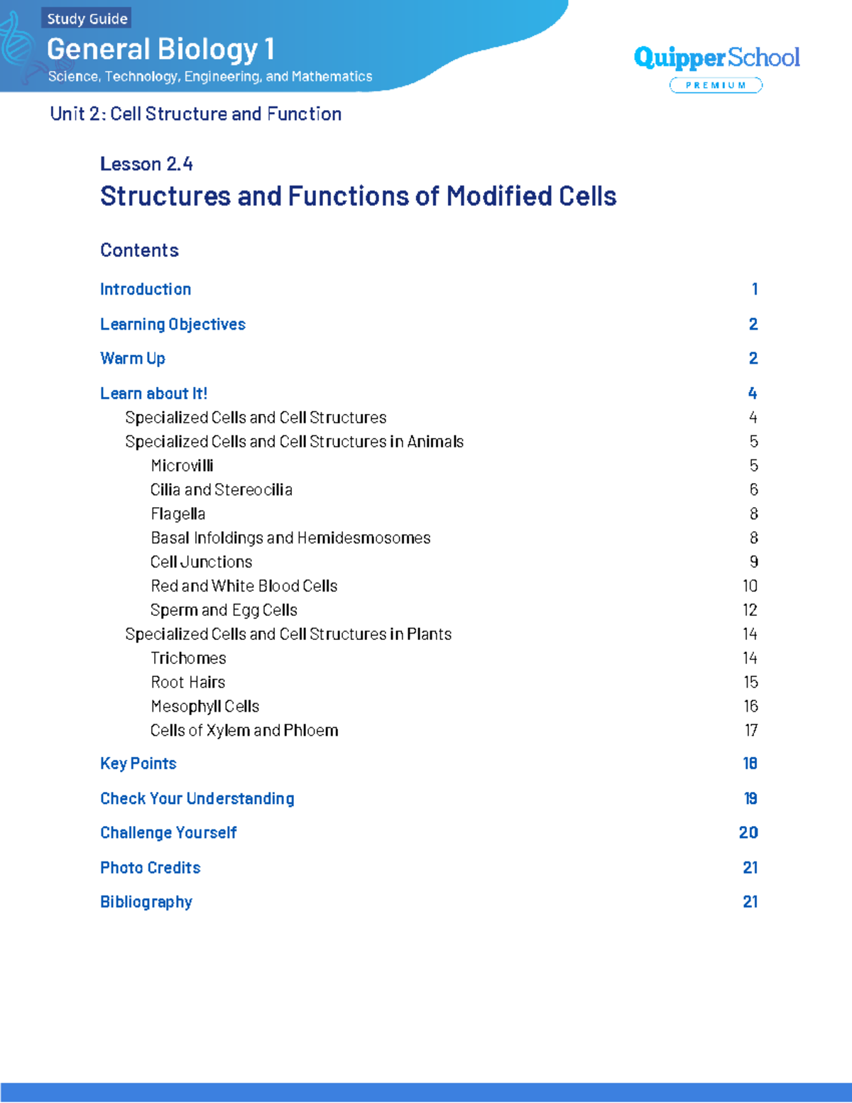 BIOLOGY STUDY GUIDE - Structures and Functions of Modified Cells Lesson ...