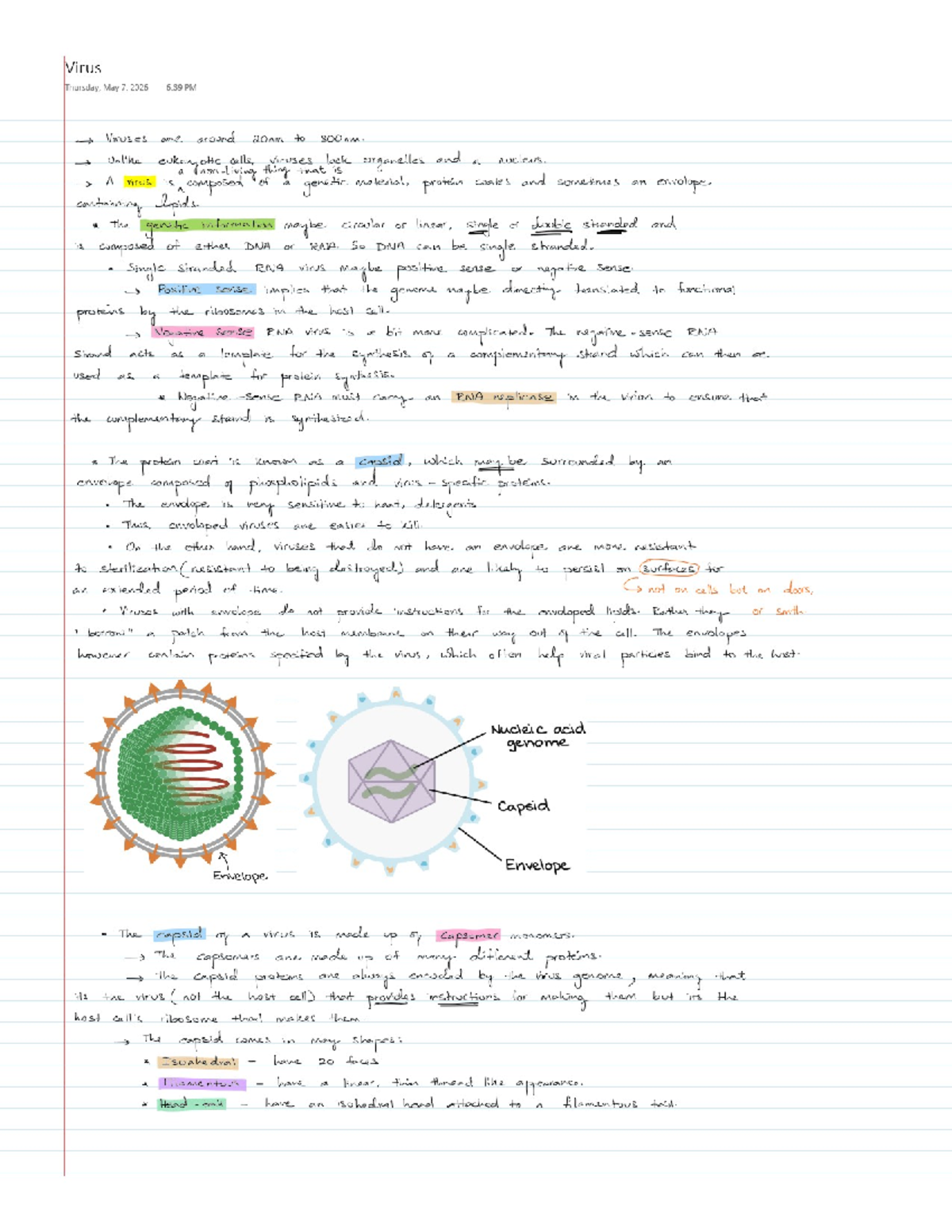 Virus Overview: Structure, Replication, and Lifecycle (BIO101) - Studocu