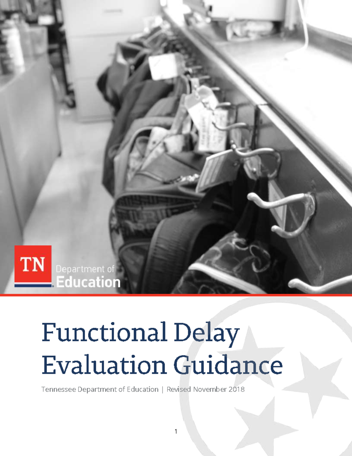 Tennessee Department of Education Functional Delay Evaluation Guidance ...