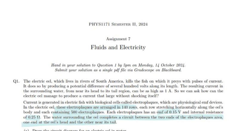 PHYS1171 S2 2024 Assignment 7: Electric Eel Circuit Analysis - Studocu