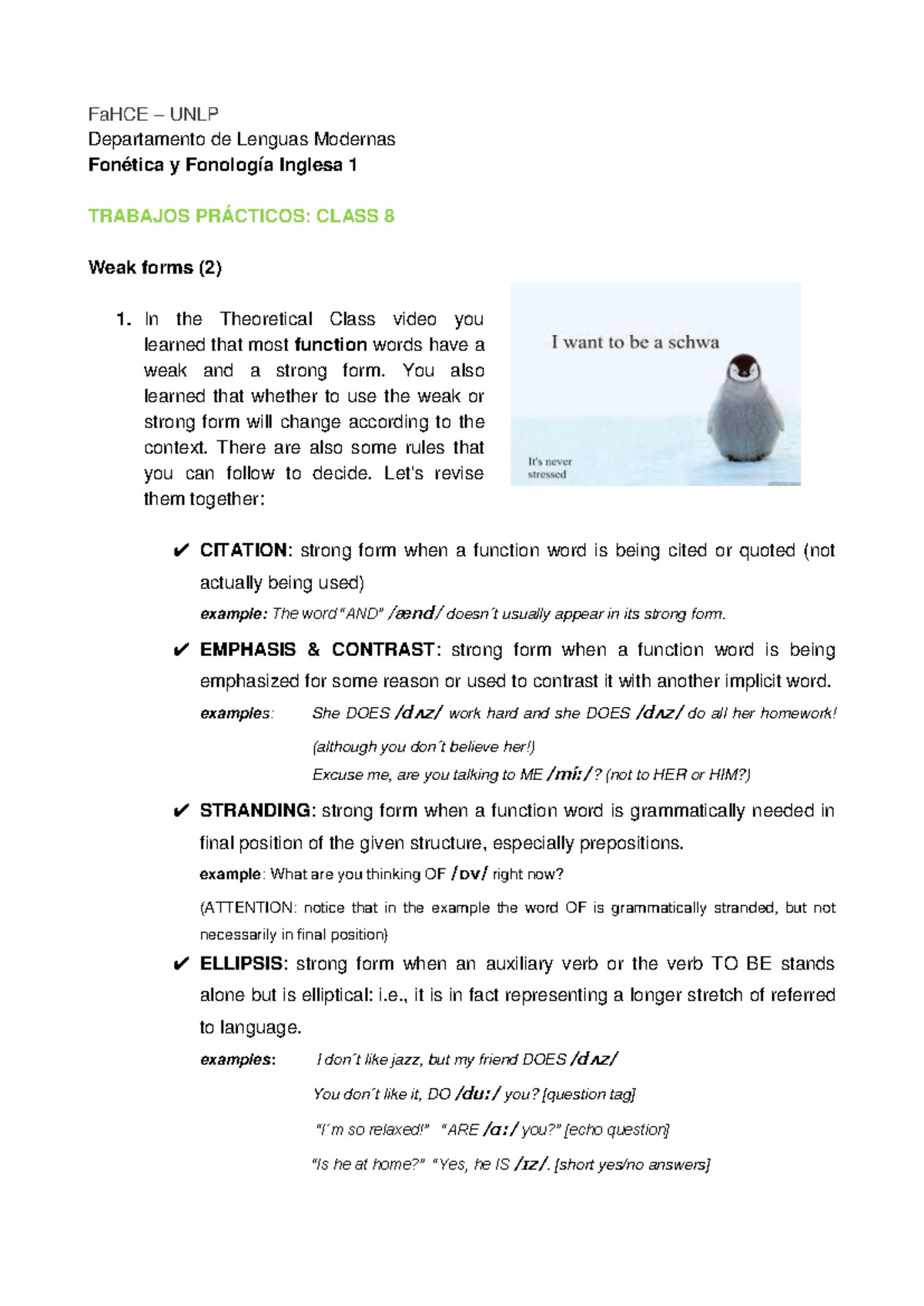 TP Class 8 Weak Forms: Analysis and Practice Activities - Studocu