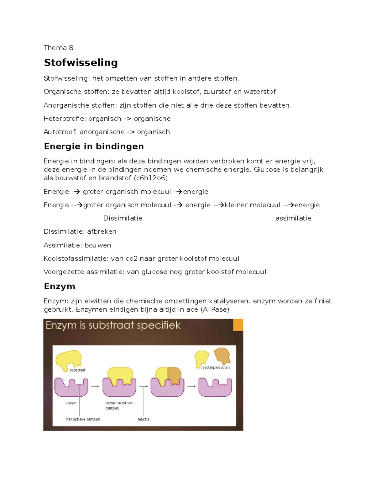 Biologie Samenvatting Thema 8: Stofwisseling en Genregulatie - Studeersnel