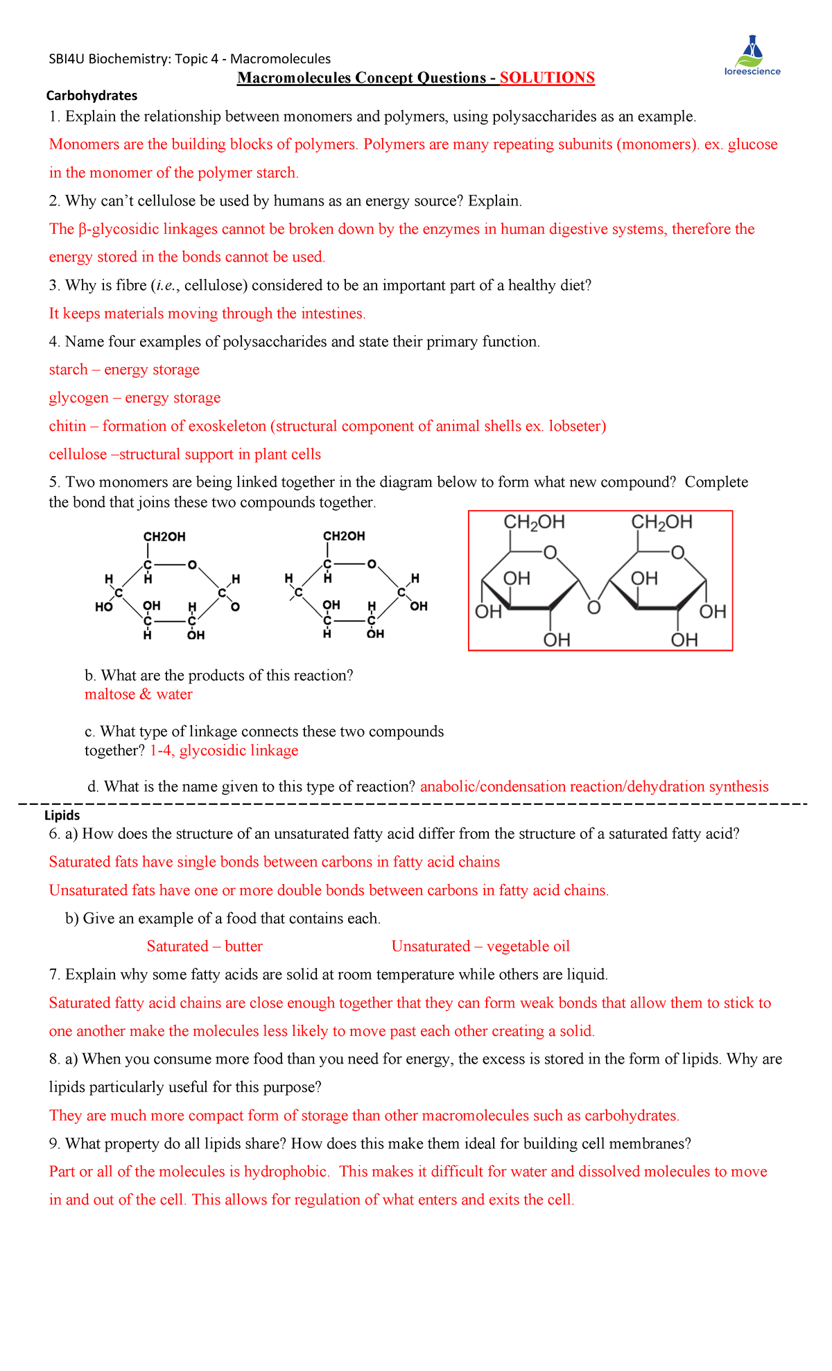 SBI4U Biochemistry: Topic 4 Macromolecules Concept Questions ...