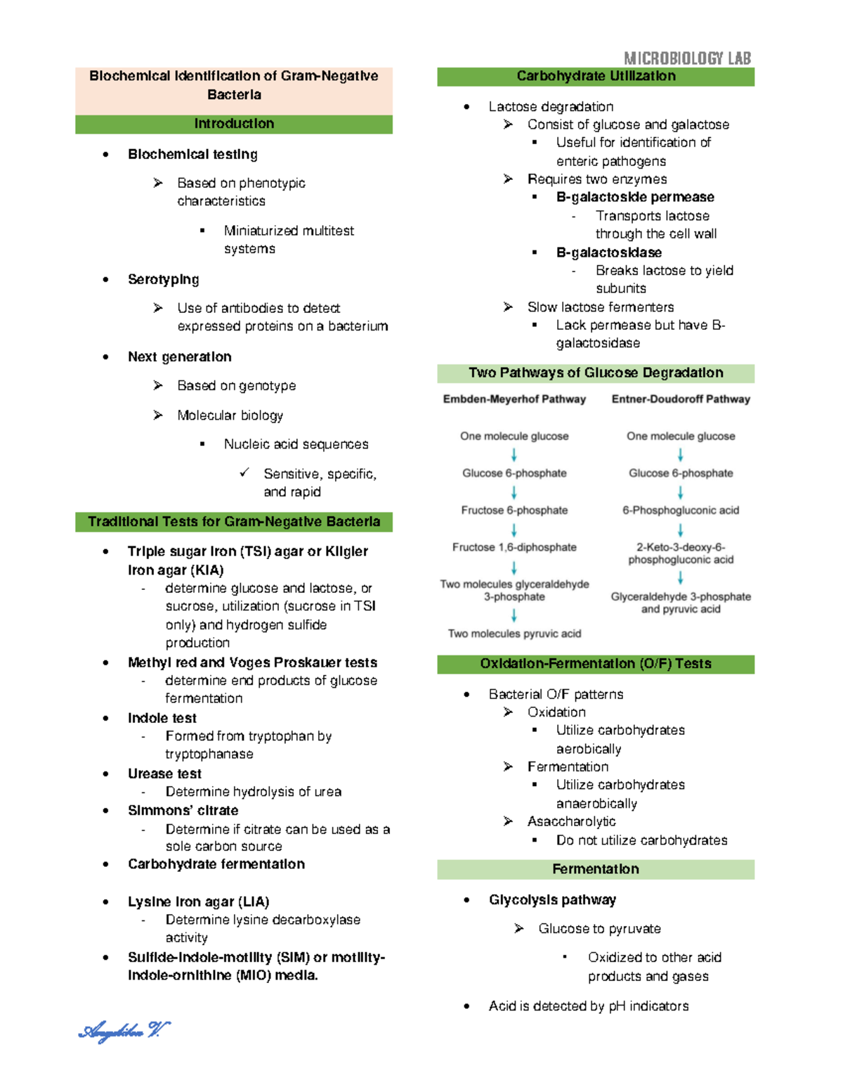 MICROBIOLOGY LAB: Biochemical Identification of Bacteria (Chapter 9 ...