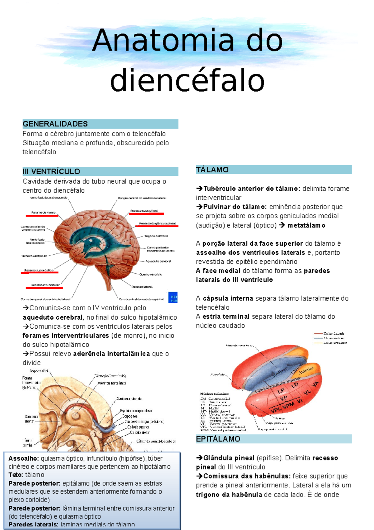 Estudo sobre o Diencéfalo e Telencéfalo – Anatomia do Cérebro - Studocu