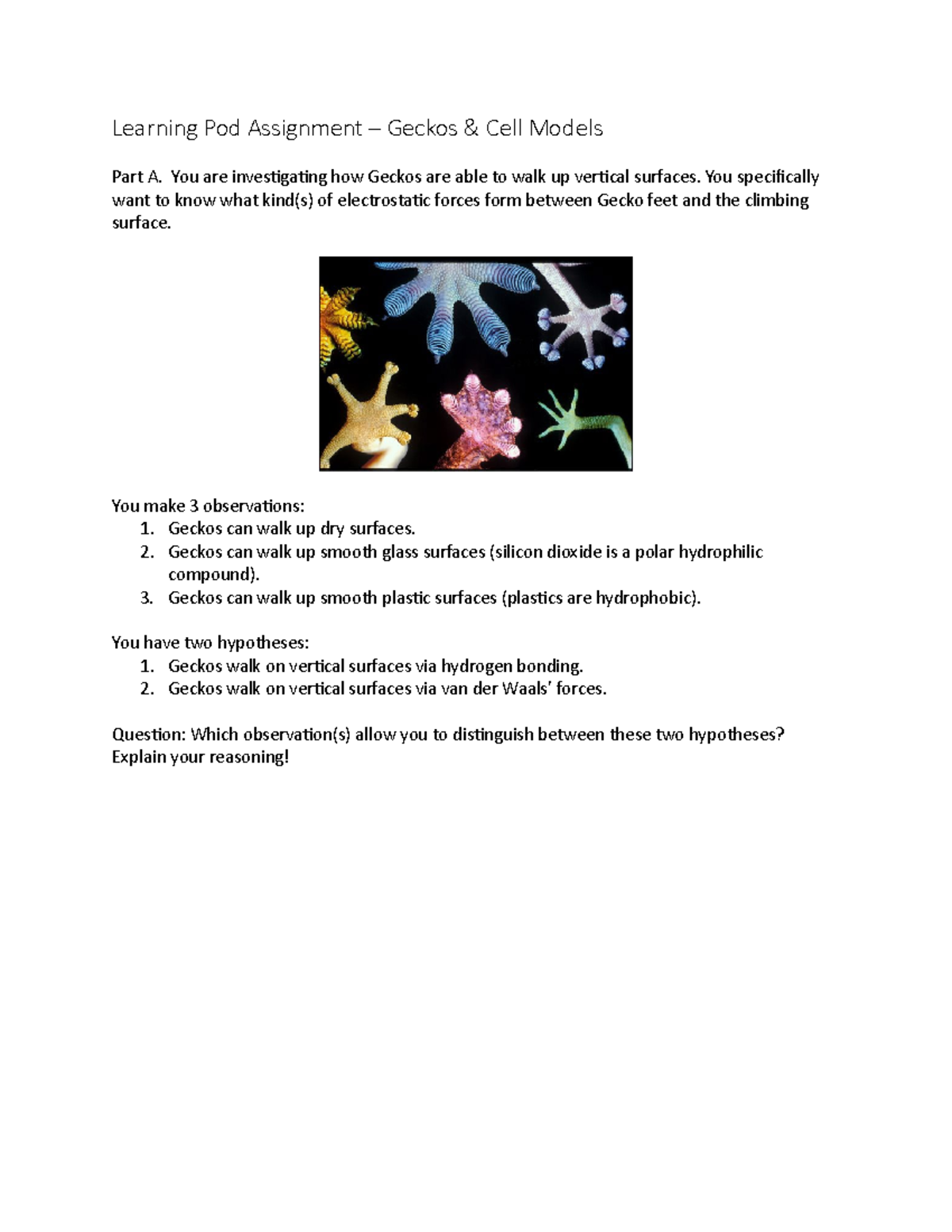 03-Learning Pod - Geckos Cell Models - Learning Pod Assignment – Geckos ...