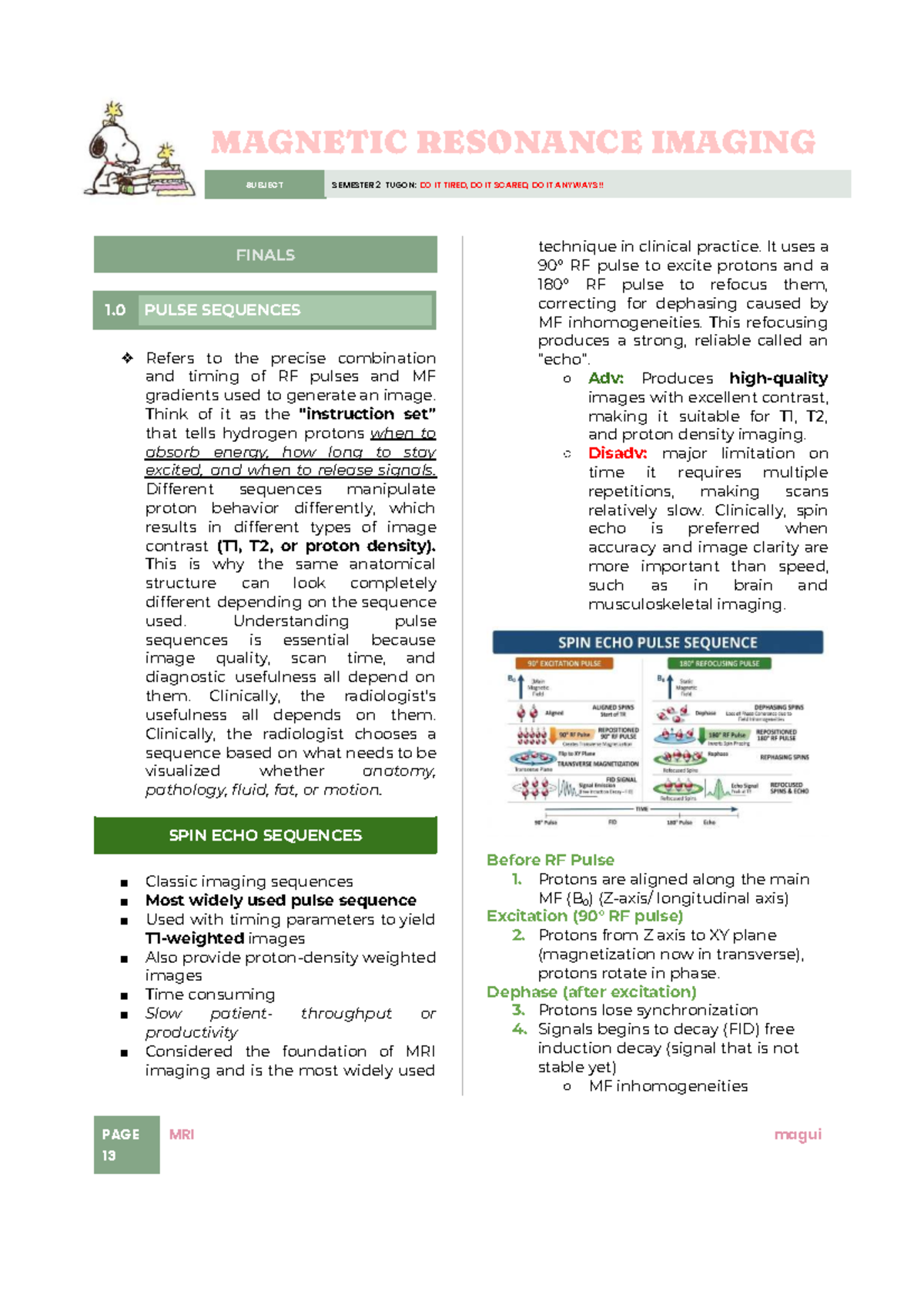 MRI Subject Semester 2: Pulse Sequences and Imaging Techniques for ...