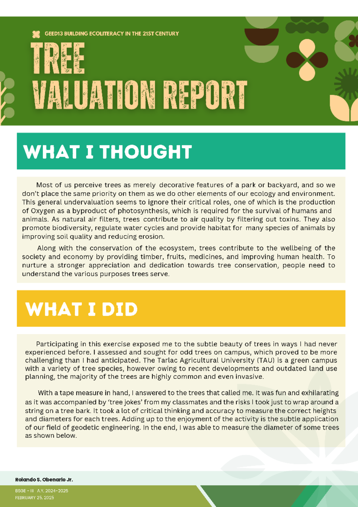 Tree Valuation Report - GEED13 BUILDING ECOLITERACY IN THE 21ST CENTURY ...