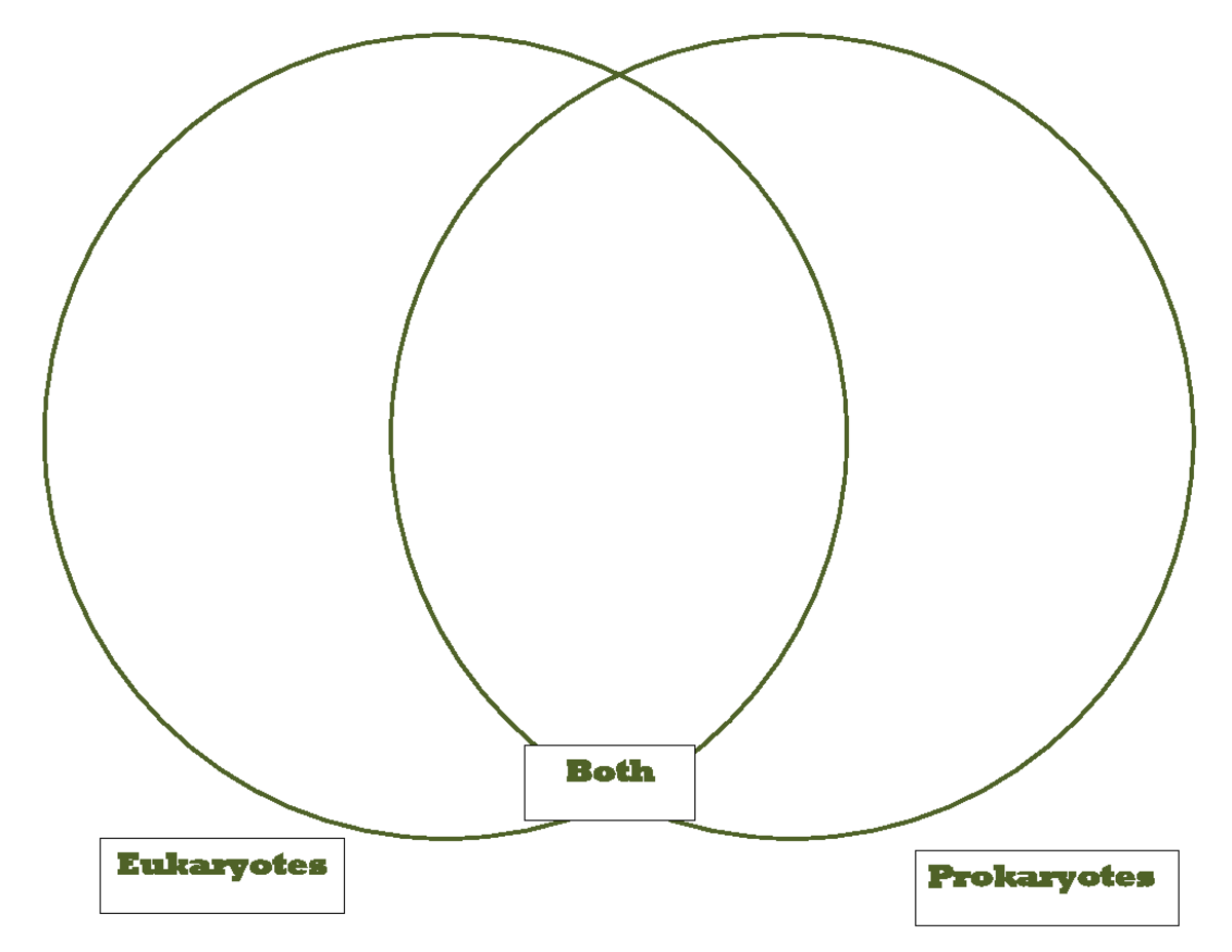 Venn Diagramcomparing Prokaryotesand Eukaryotes Goeswith Cells Part 1-1 ...
