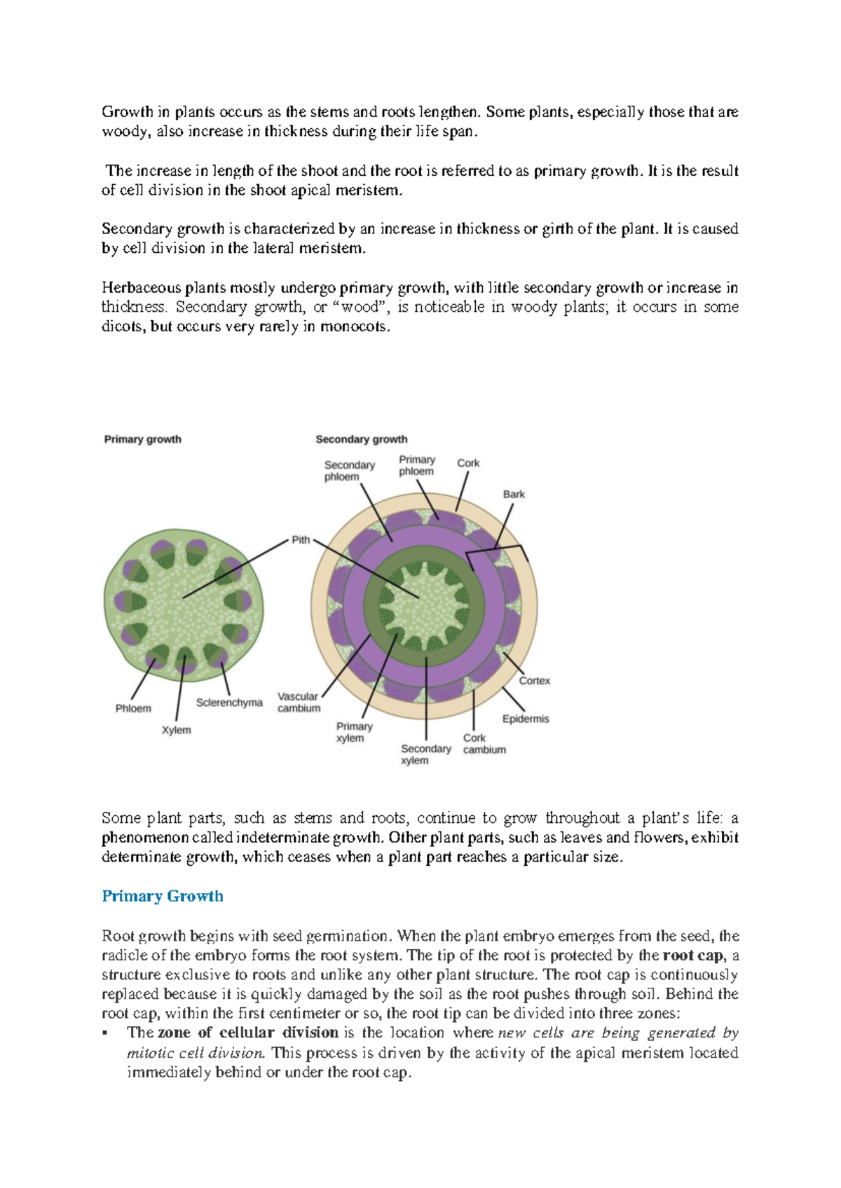 Lecture 8: Plant Growth & Ecological Classifications (BIO 101) - Studocu