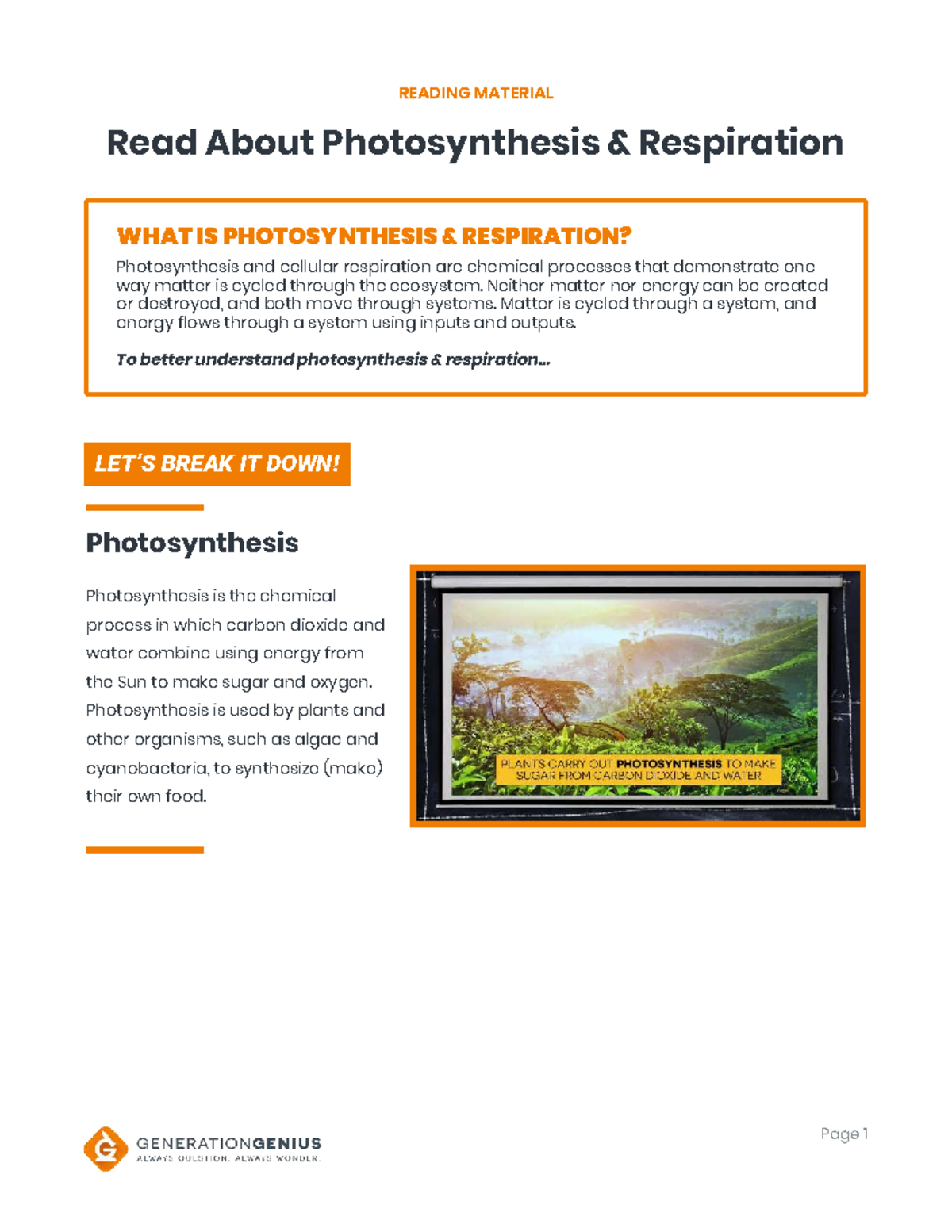 Photosynthesis & Respiration Overview: Key Concepts & Processes - Studocu