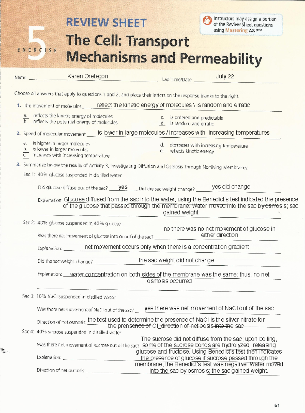 AP - Lab Ex. 05 Review Sheet: Chapter 5 - Cell Transport Mechanisms ...