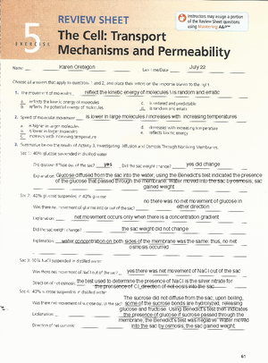 AP - Lab Ex. 07 review sheet. chapter 7 The Integumentary system - bio ...