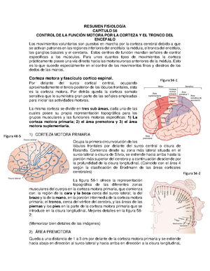 El Tunkul - es sobre una practica - El Tunkul Tambor muy conocido y ...