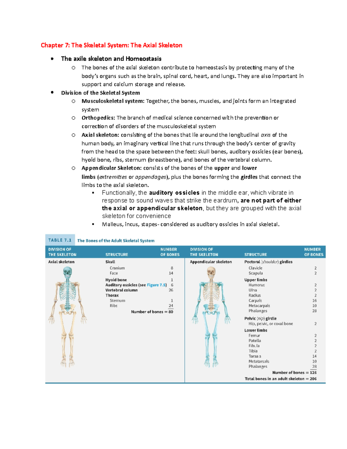 Chapter 7 & 8 Notes: Exploring the Axial Skeleton and Bone Types - Studocu