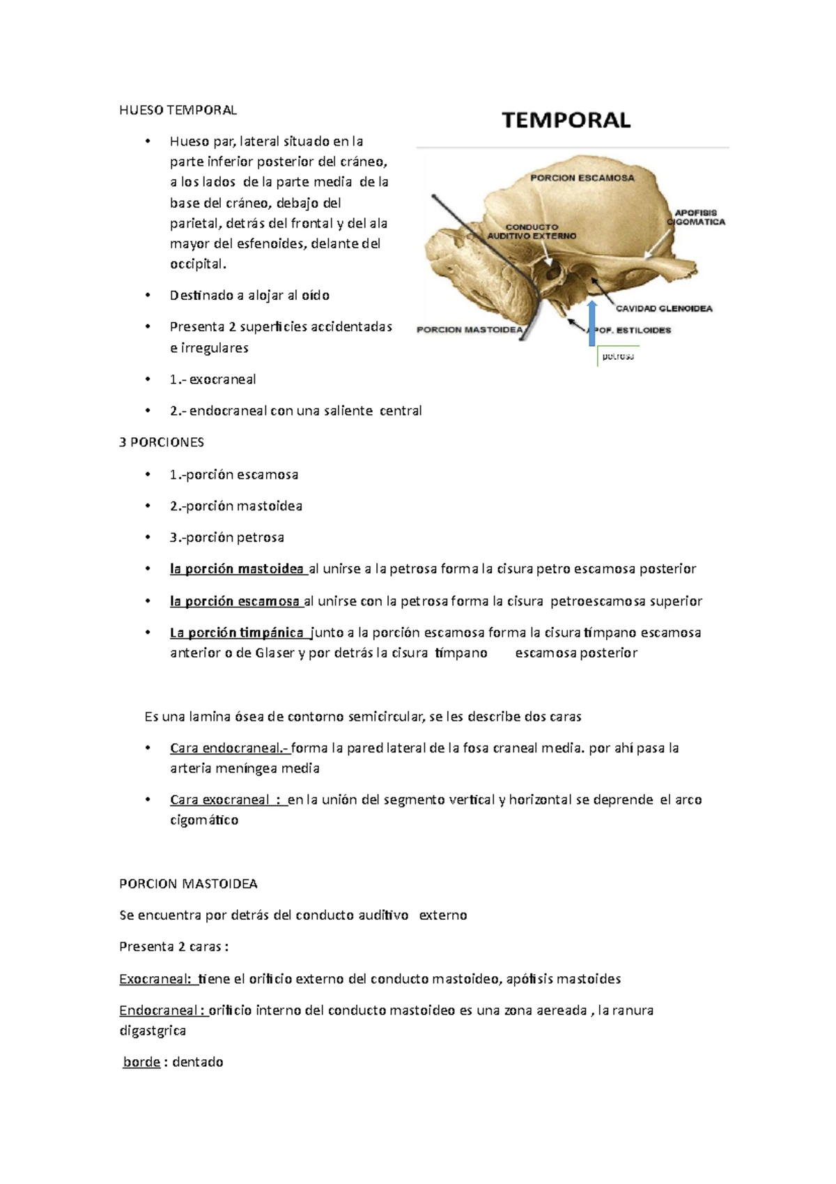 Foramenes - Resumen Anatomía humana - HUESO FRONTAL *Foramen ...