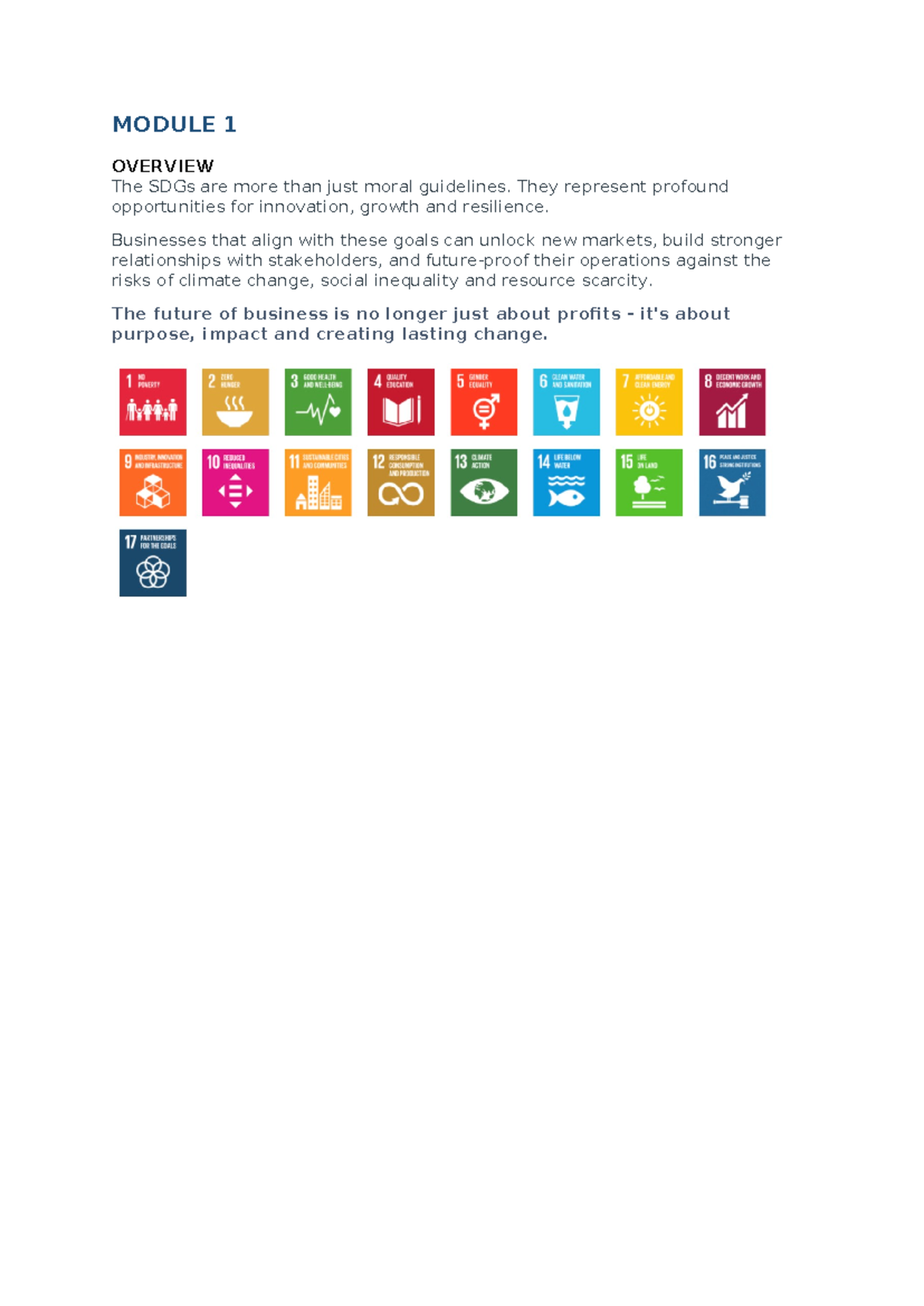 Future of Business: Module 1 Overview on SDGs & Strategic Analysis ...