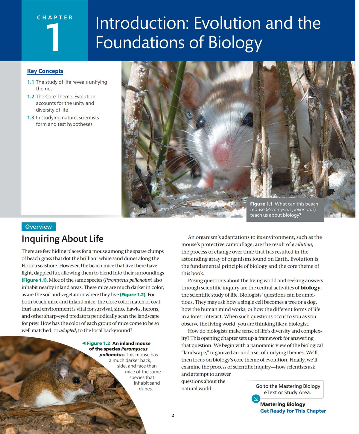 BIO101: Exploring Core Themes of Evolution and Biology Concepts - Studocu