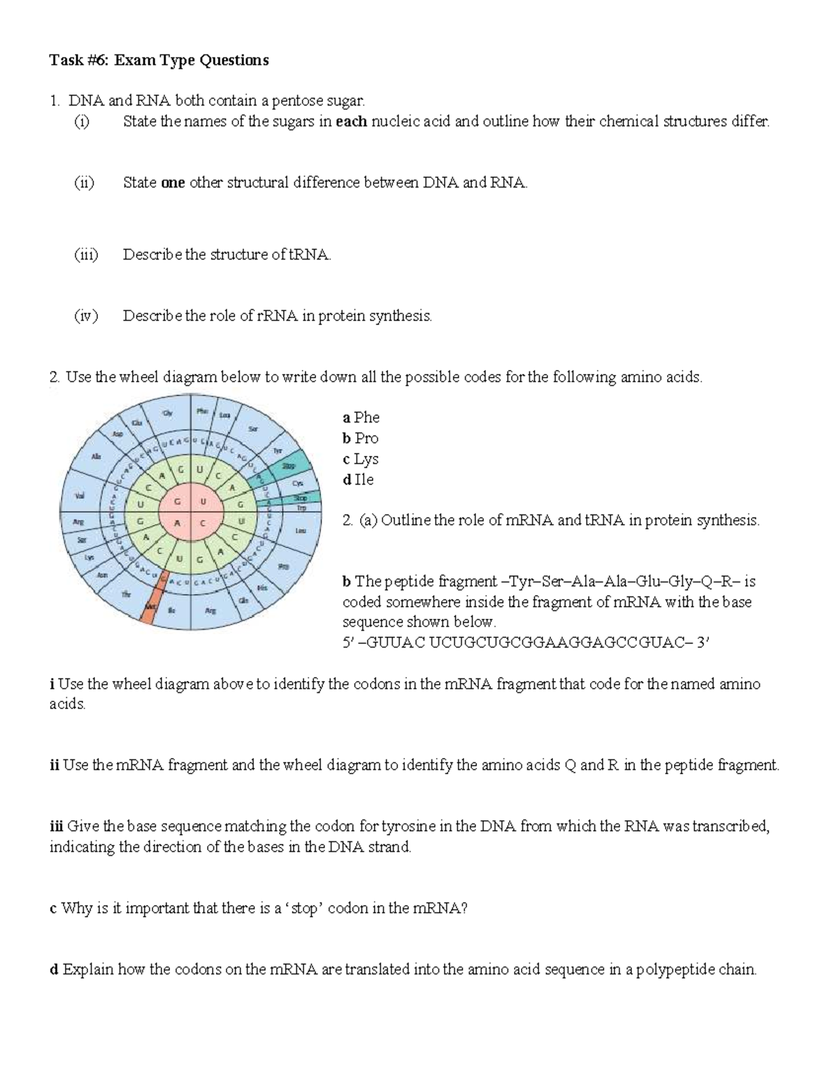 Task 6 Exam Type Questions: DNA, RNA, and Protein Synthesis - Studocu