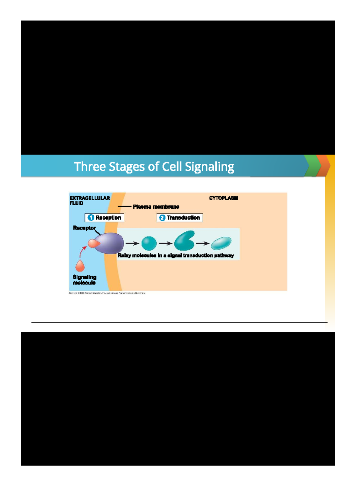 Docs google com presentation d e 2PACX 1v RXc0G9GMbepycb Tm q Sm Uo Dofnw 3E6Ou MUm Qs Xw - Studocu