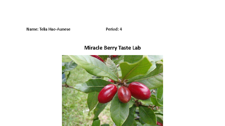 Miracle Berry Taste Lab: Exploring Flavor Perception and Modification ...
