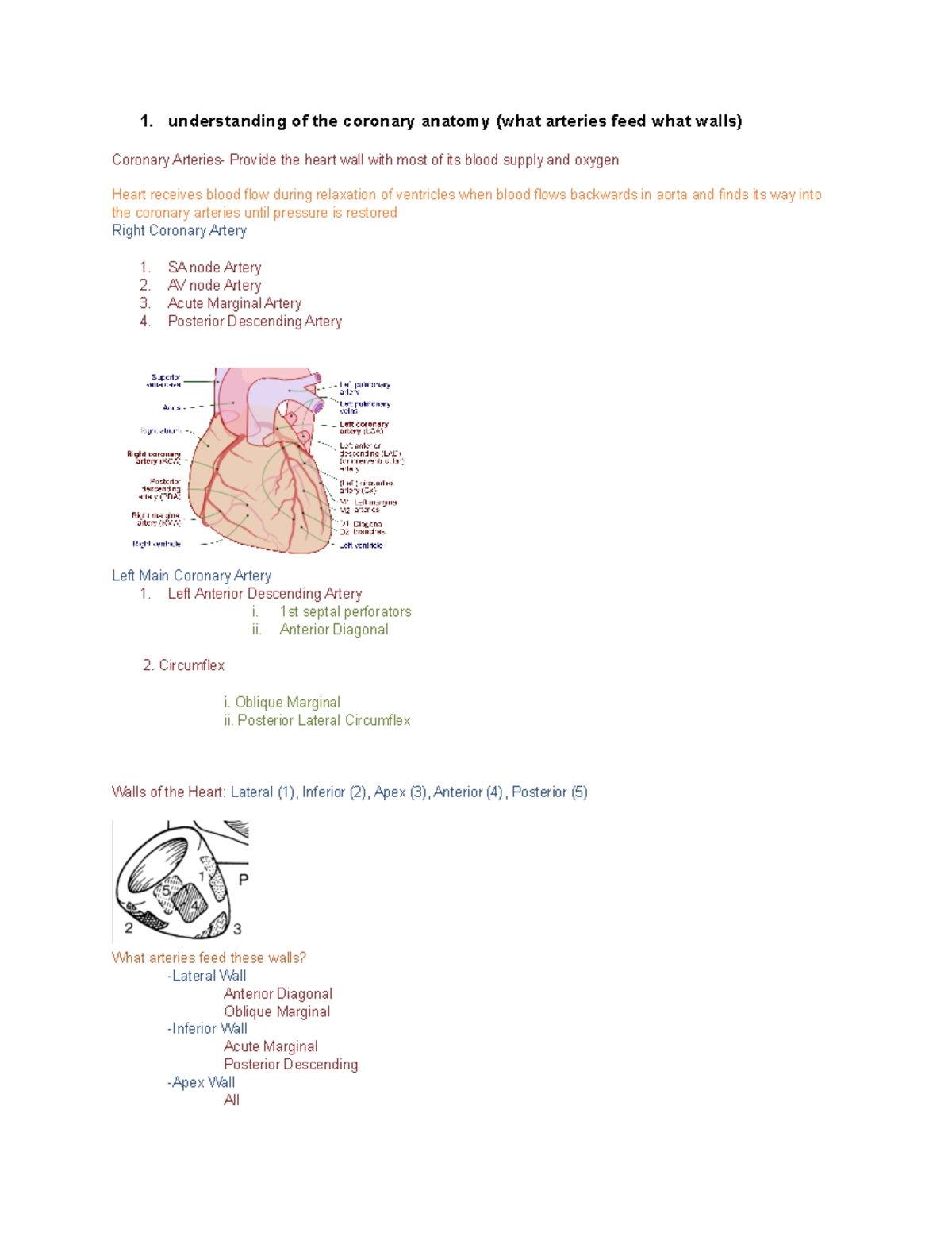 Understanding Cardiac Cycle and ECG: Key Concepts and Processes - 1 ...