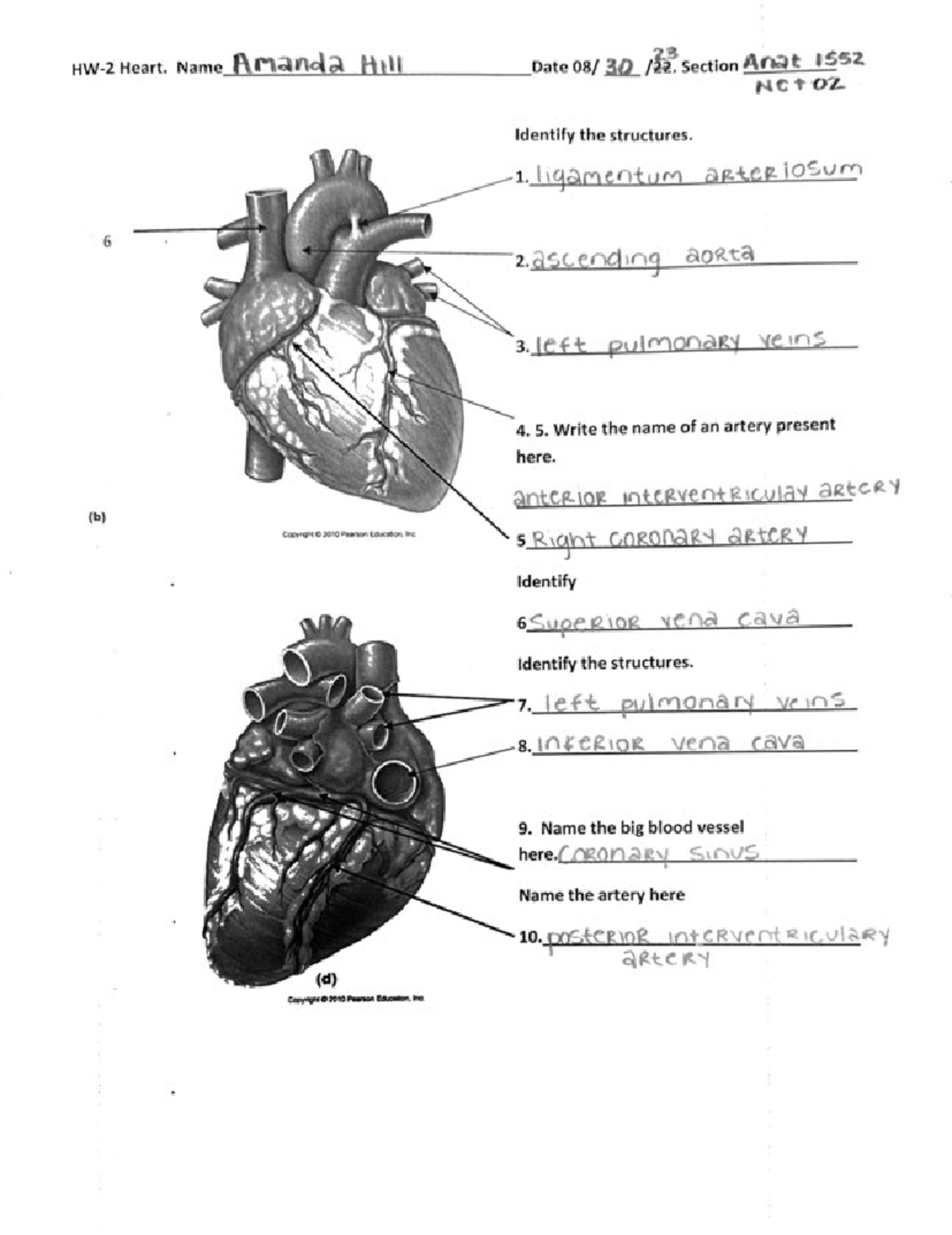 Heart Homework - Workbook Study Guide for Students - Studocu