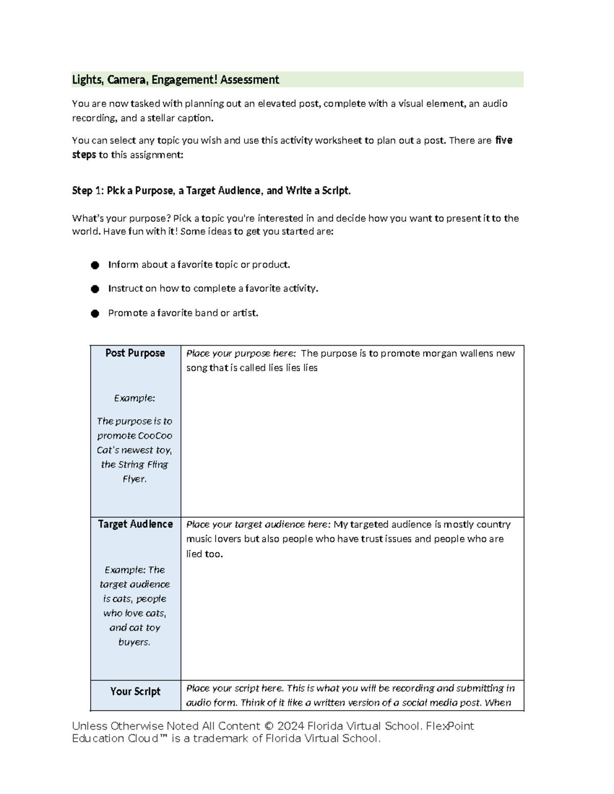 Lights, Camera, Engagement Activity Worksheet (Assessment) - Studocu