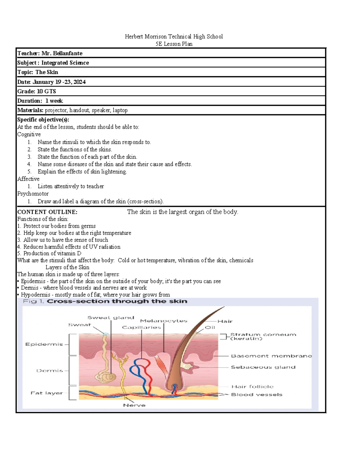Integrated Science 10 GTS 5E Lesson Plan: The Skin by Mr. Bellanfante ...