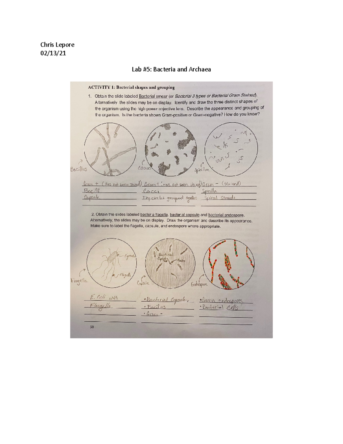 LAB5 - Bio 2 Lab 5 with answers - Chris Lepore 02/13/ Lab #5: Bacteria ...