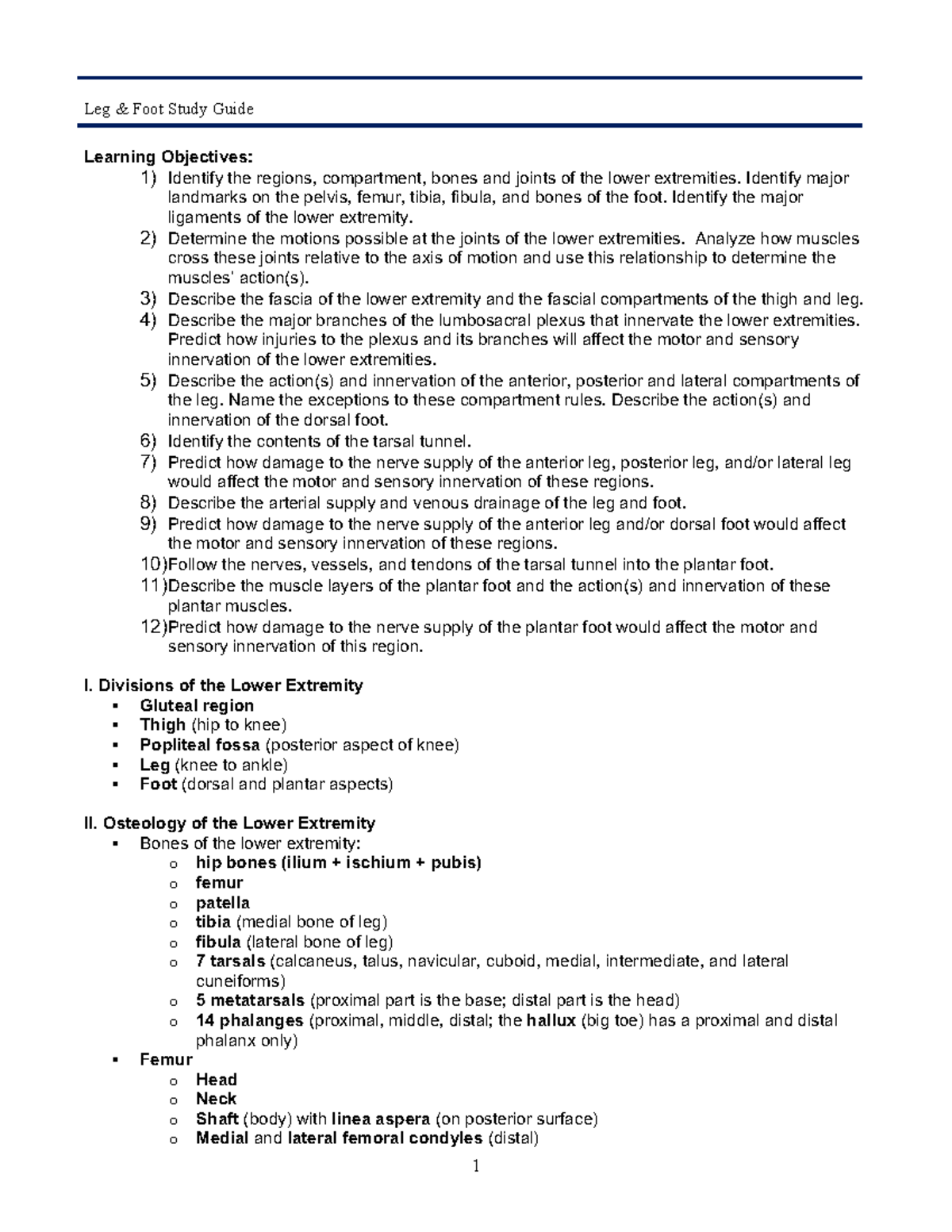 Lower Extremity Anatomy Study Guide: Joints, Muscles & Nerves - Studocu