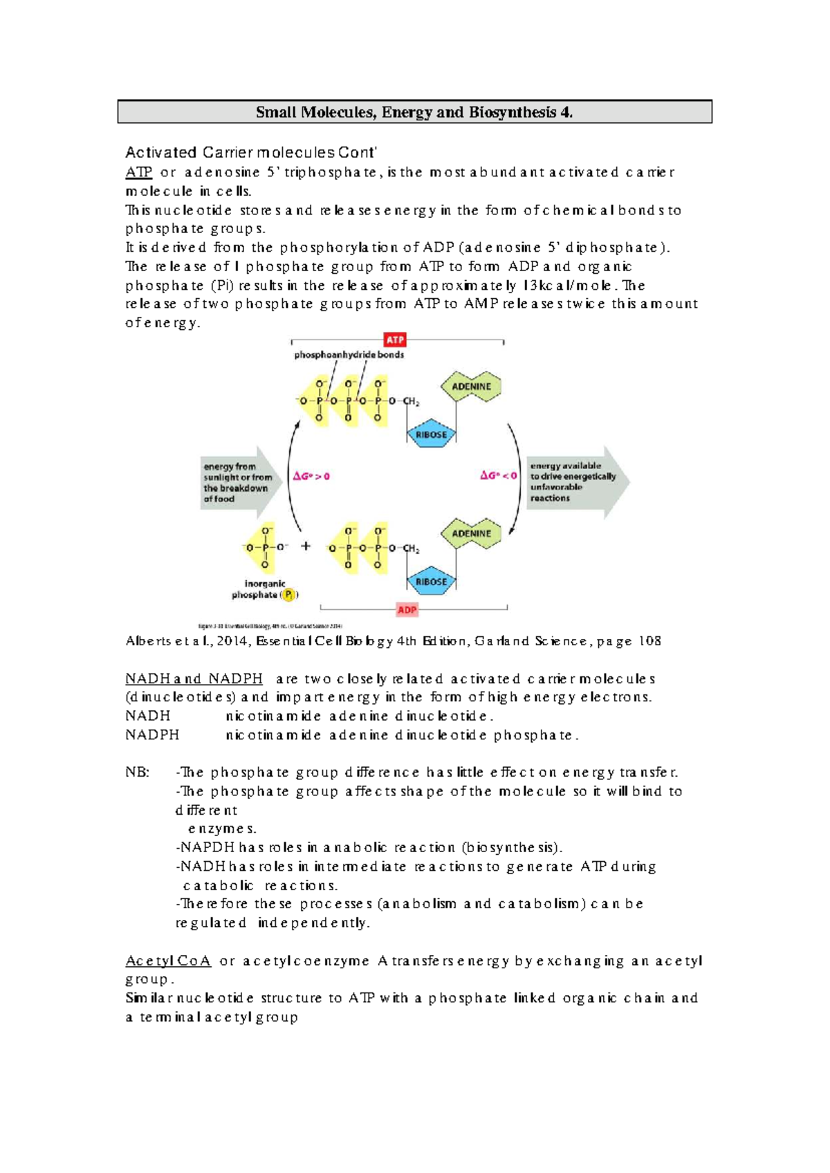 Activated Carrier Molecules in Energy & Biosynthesis 4 - Studocu