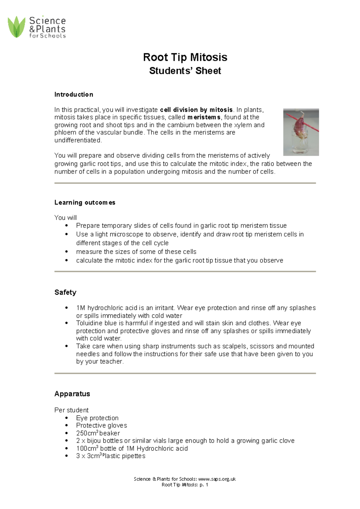 SAPS - A-level Practical Notes on Root Tip Mitosis in Garlic - Studocu