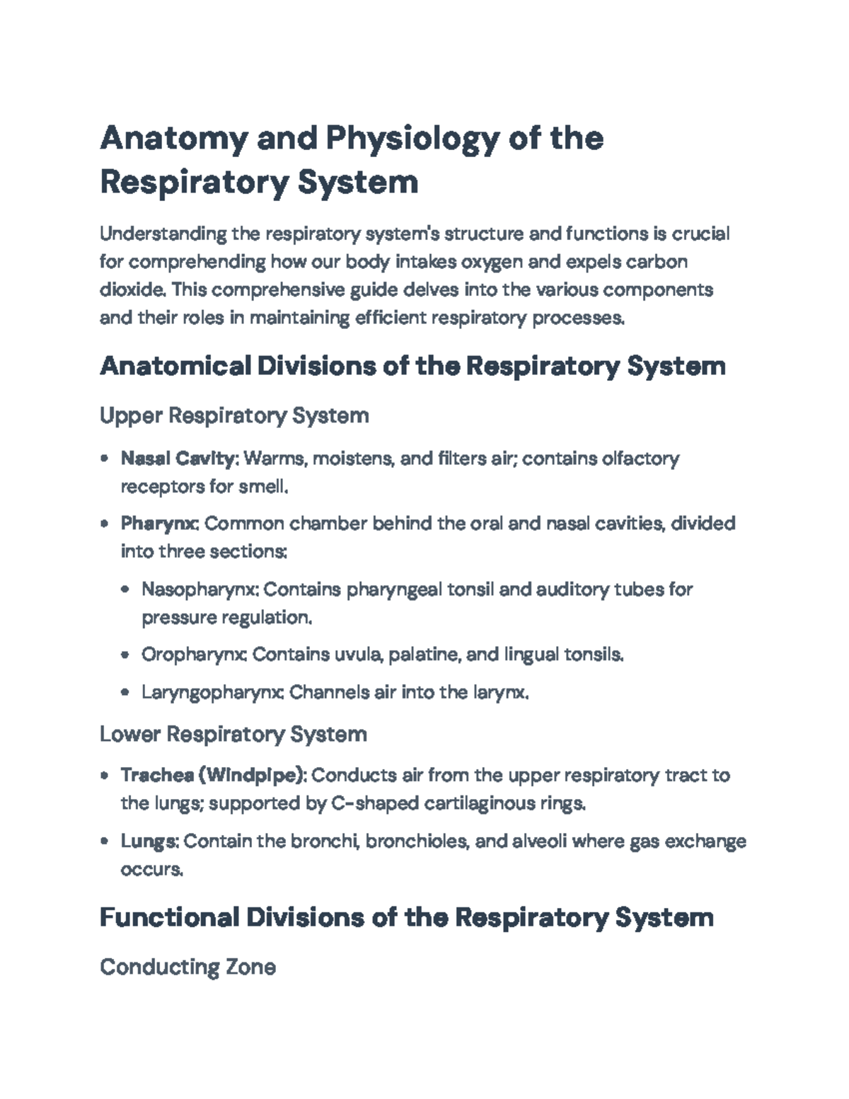 Anatomy and Physiology of the Respiratory System: Detailed Insights ...