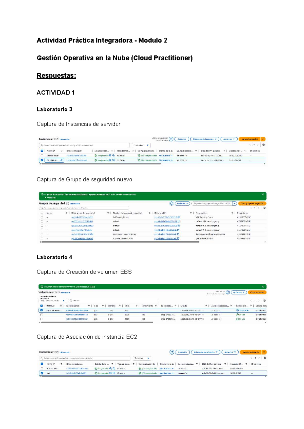 Gestión Operativa en la Nube - Actividad Práctica Integradora Módulo 2 ...