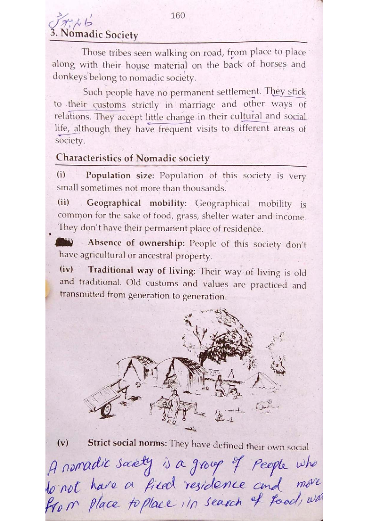 Nomadic & Sedentary Societies: Characteristics & Differences - Studocu
