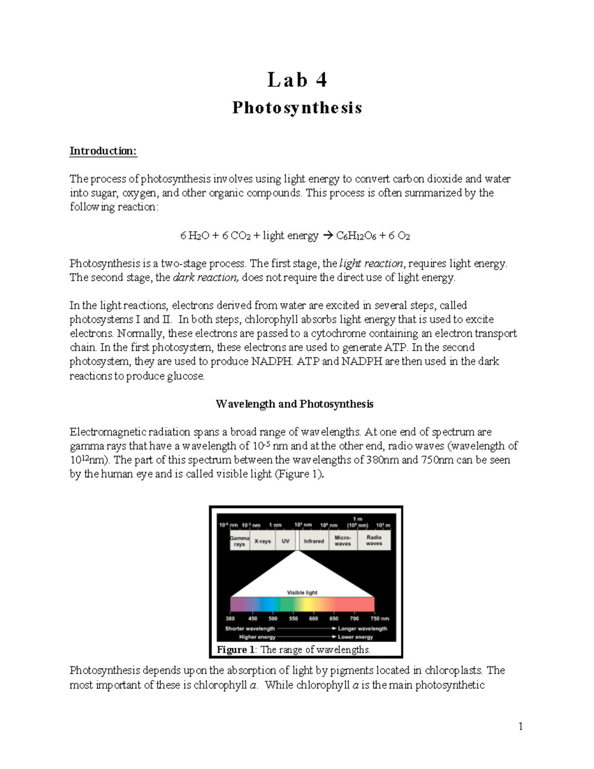BIOL1002 Lab 4: Understanding Photosynthesis and Light Reactions - Studocu