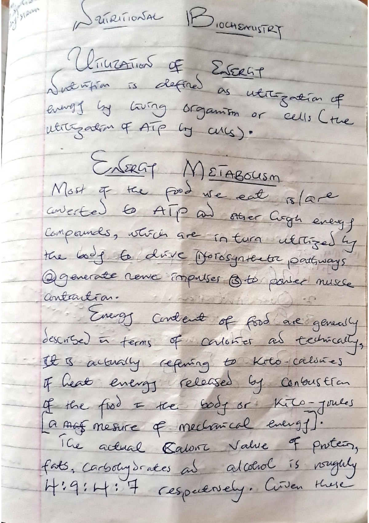 Nutrition - A Concise BCH Study Note on Energy Utilization and ...