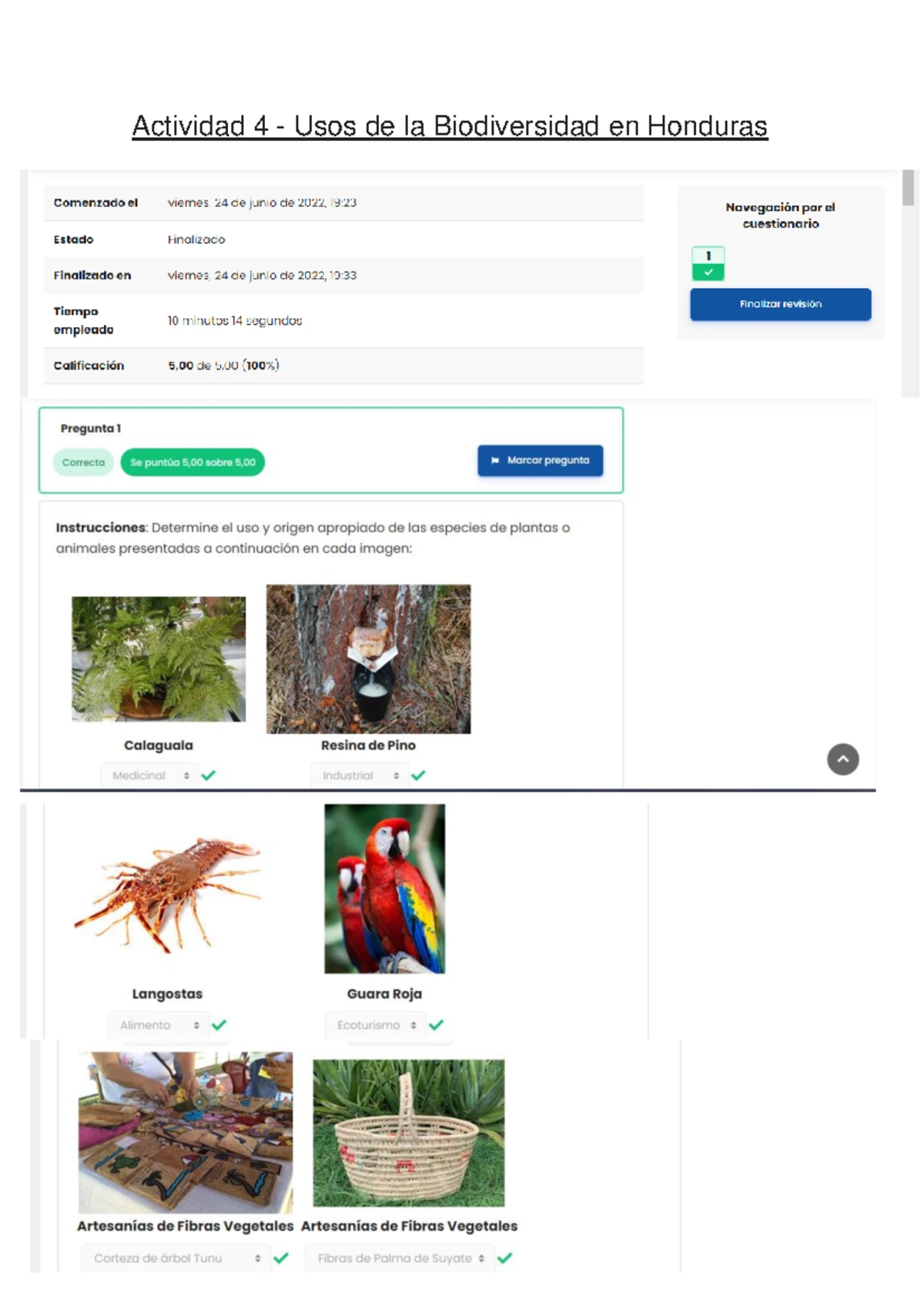 Actividad 5: Listado de P.N. y Localidades en Honduras - Studocu