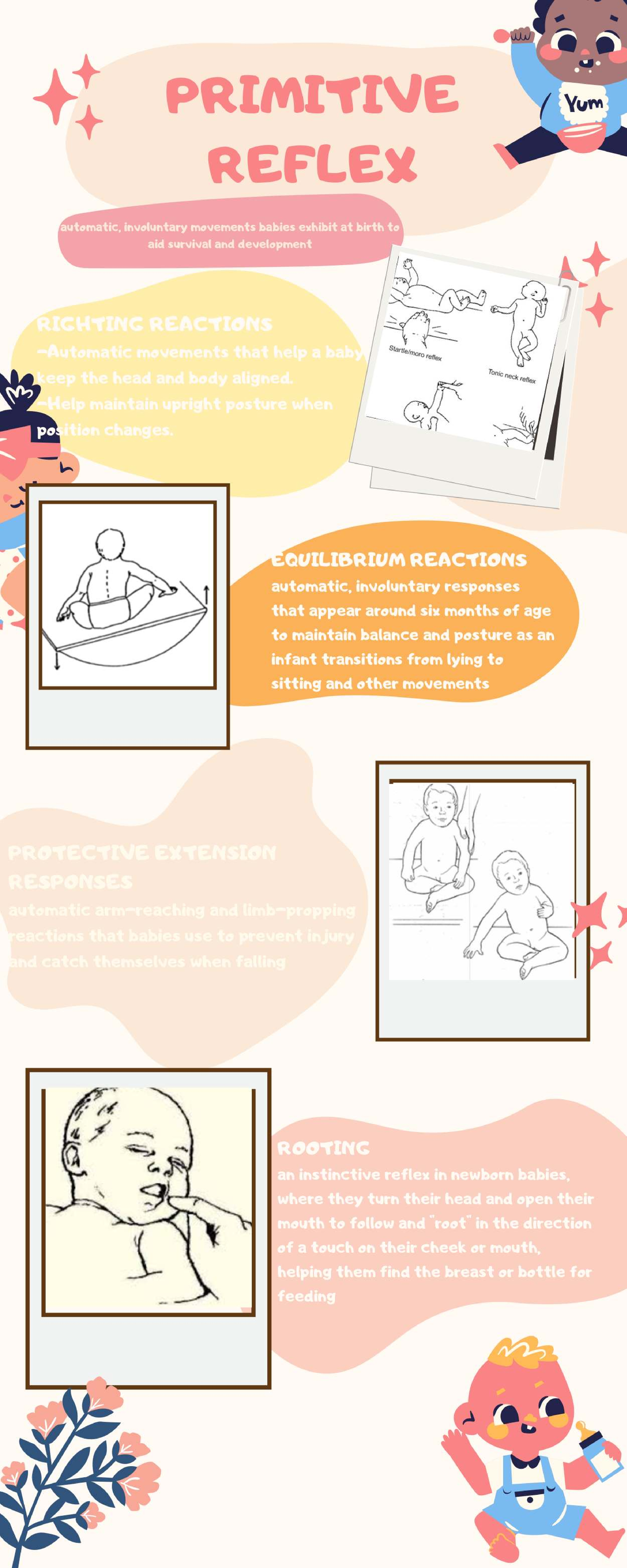 Primitive Reflexes and Righting Reactions in Infants - Torrecampo - Studocu