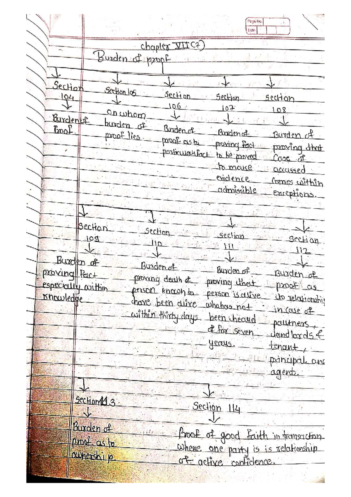 Burden of Proof - Chapter VII Notes (Law 101) - Studocu