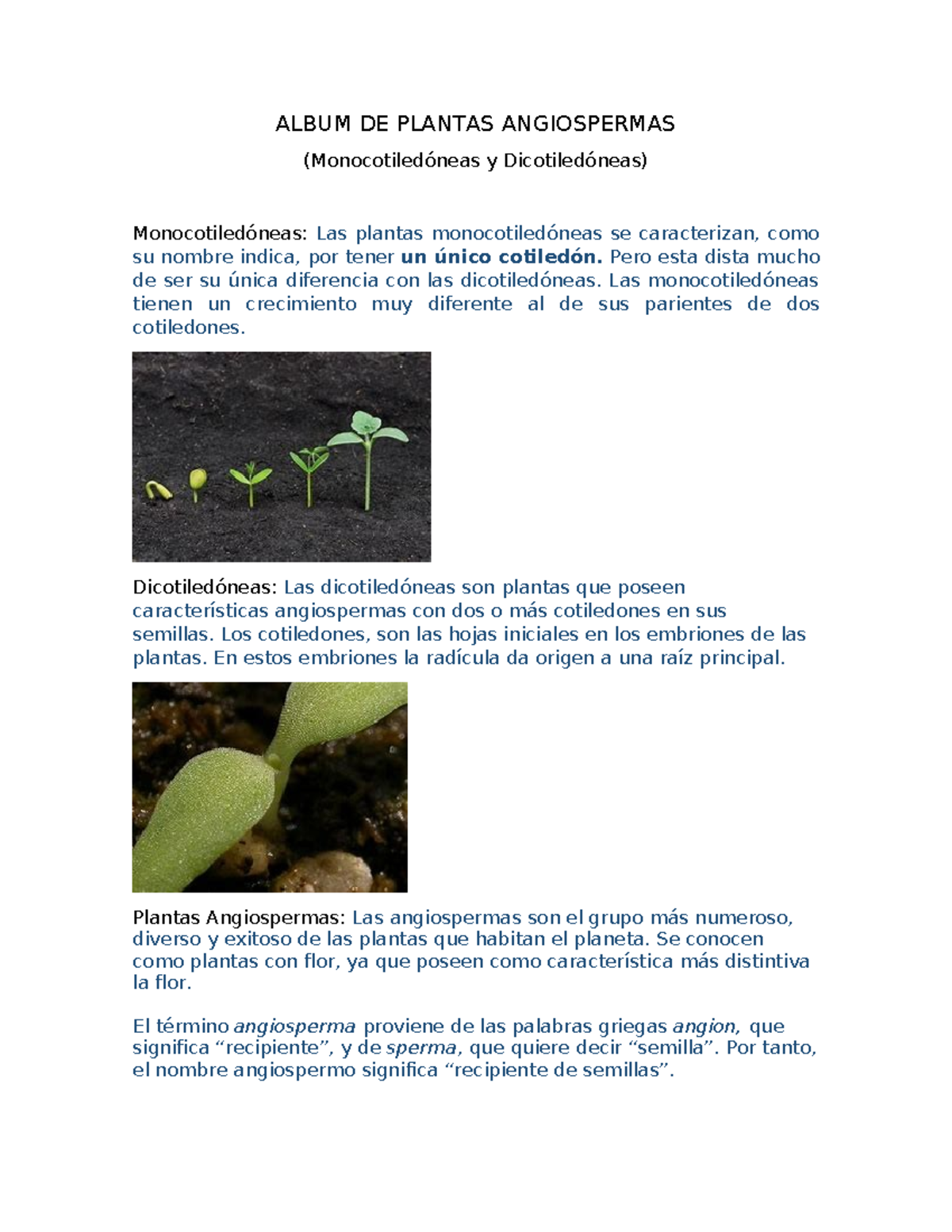 Álbum de Plantas Angiospermas: Monocotiledóneas y Dicotiledóneas - Studocu
