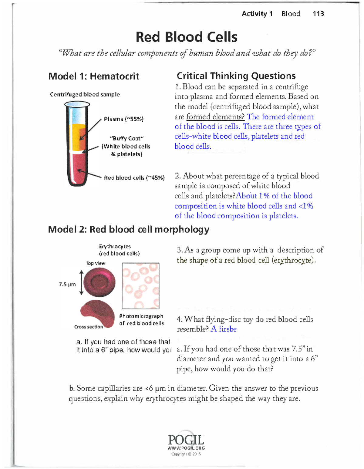 Ch 19 - Red Blood Cells - biol A&P - Activity 1 BI ood 113 Red Blood ...