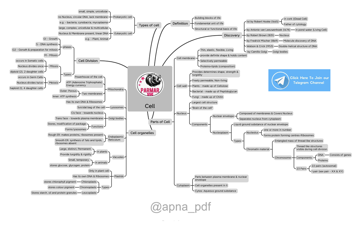 Biology 101: Comprehensive Mind Maps on Cells, Tissues, and Organisms - Studocu