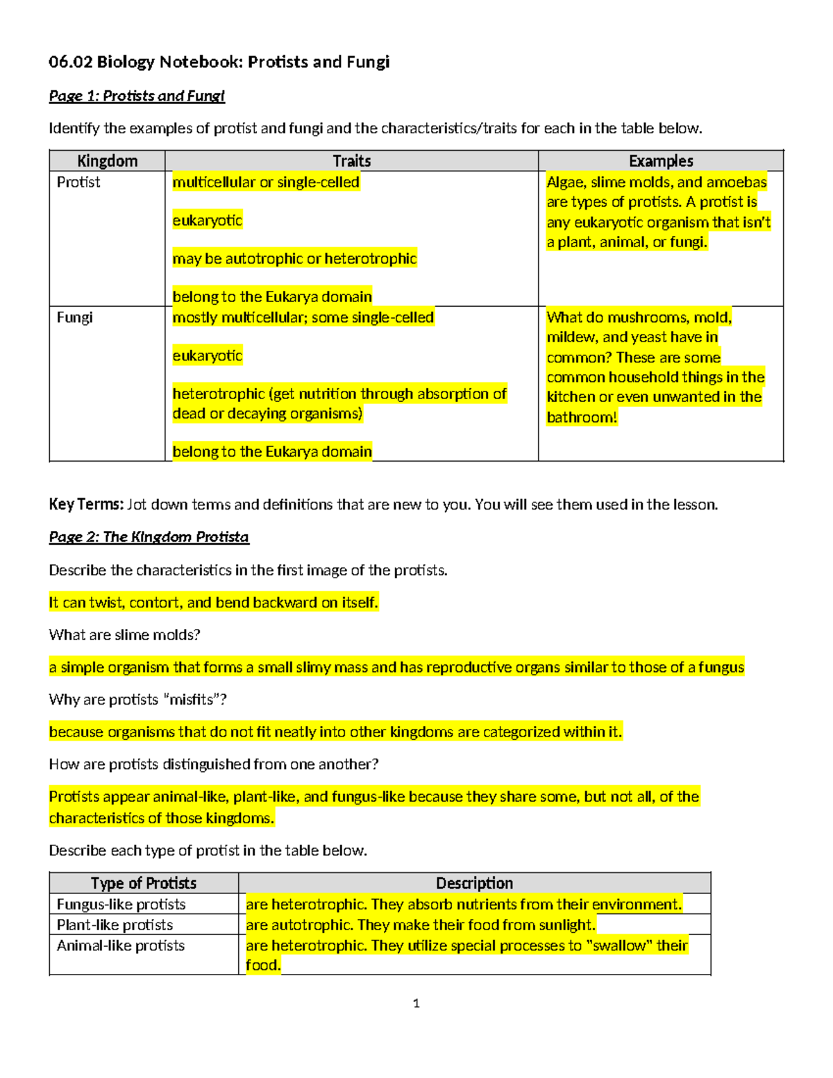 06.02 Biology Final Exam Notes: Protists and Fungi - Studocu