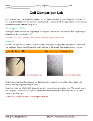 Natural Selection Simulation (PHET)-2 - Name: Kailey Hernandez Natural ...