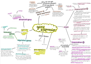 Year 11 Biology Notes - Full - Module 1 - Cells as the Basis of Life ...
